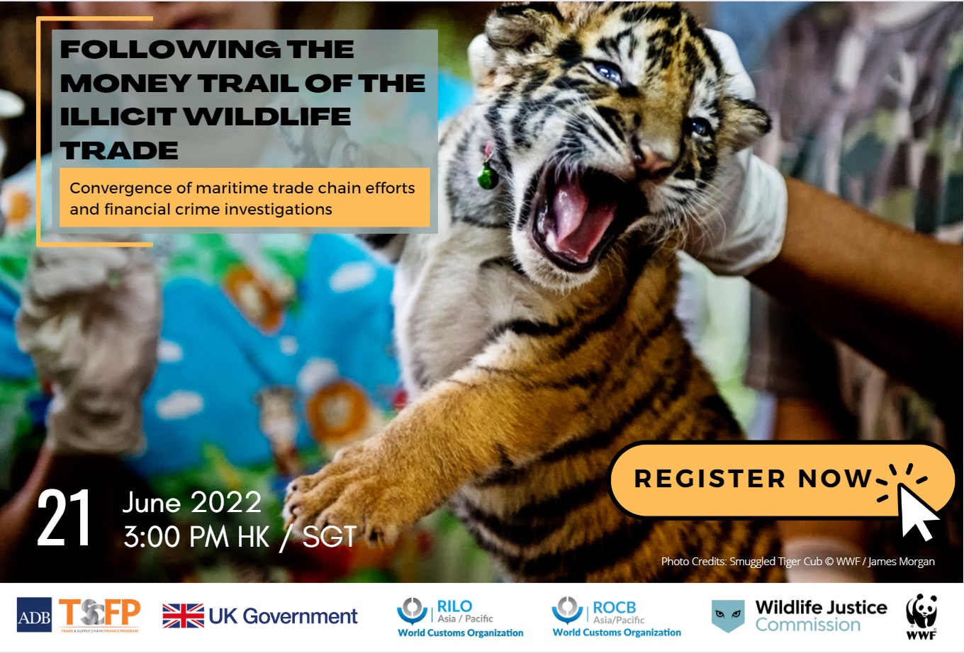 Following the Money Trail of the Illicit Wildlife Trade | ADB Knowledge ...